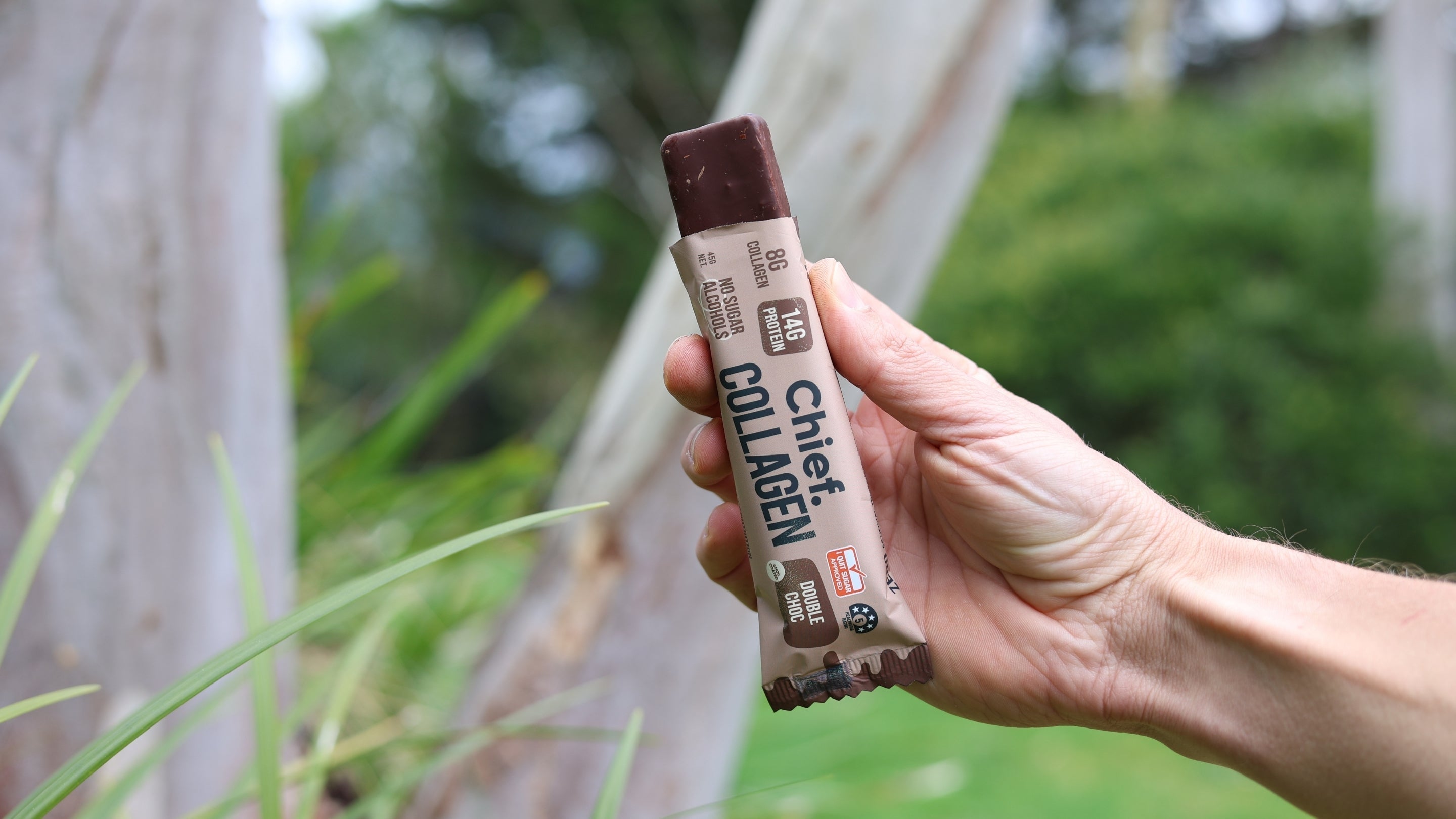 What’s the Healthiest Chocolate Bar To Eat? – Chief Nutrition (USA)