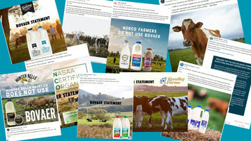 What is Bovaer and what is it doing in cattle feed? – Chief Nutrition (USA)