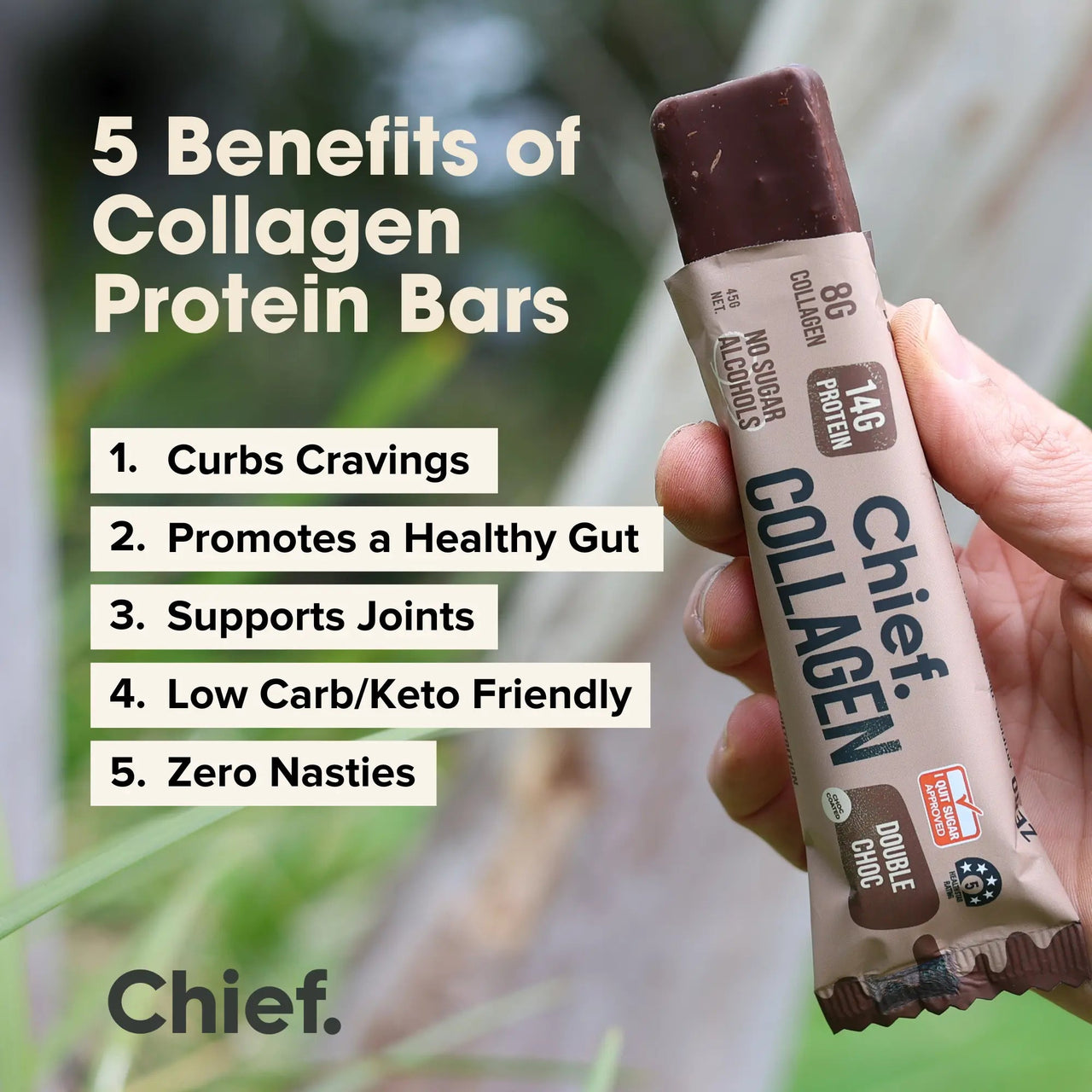 Collagen Protein Bar (12 bars) | Double Choc | Chief Nutrition | Chief ...