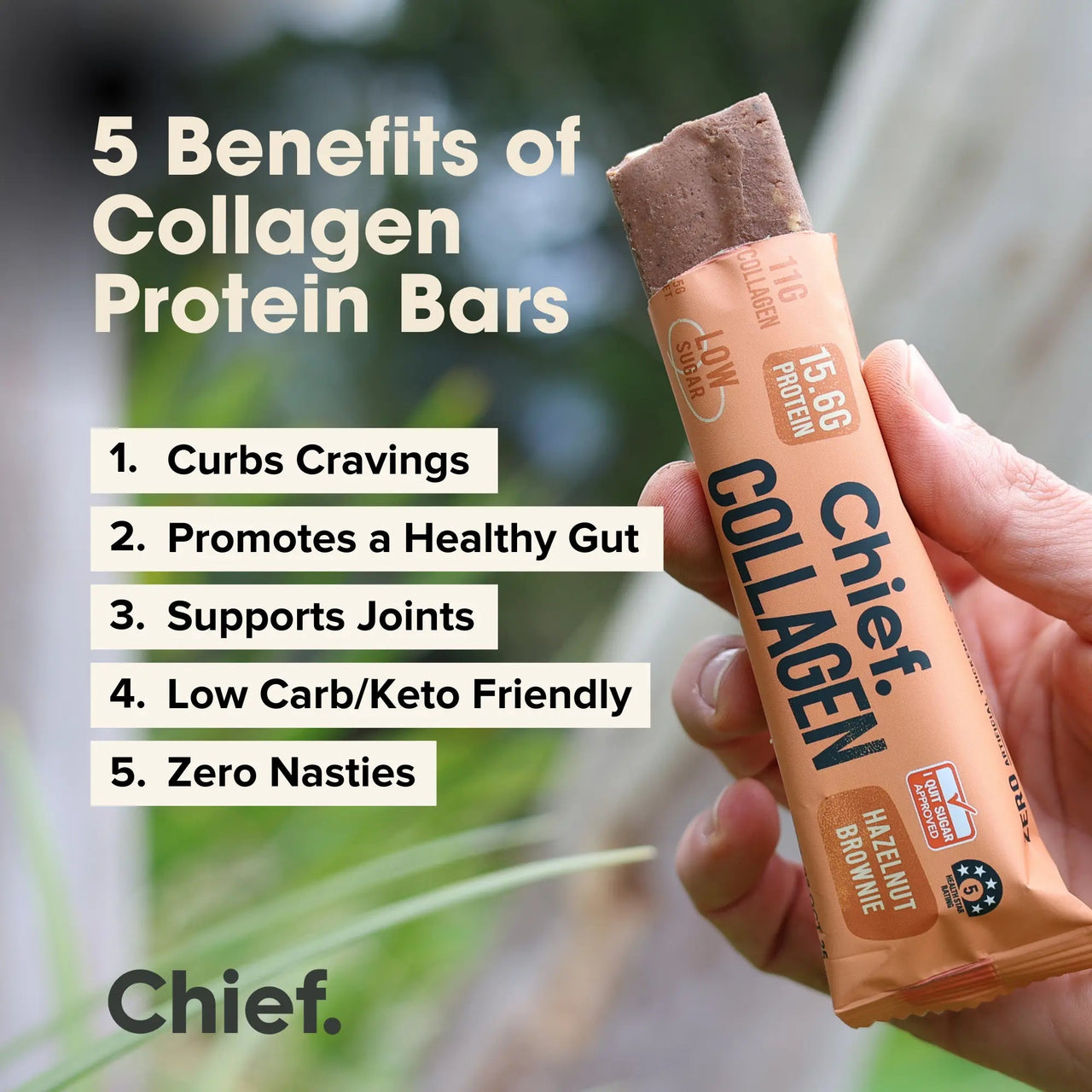 Collagen Protein Bar (12 bars) | Hazelnut Brownie | Chief Nutrition ...